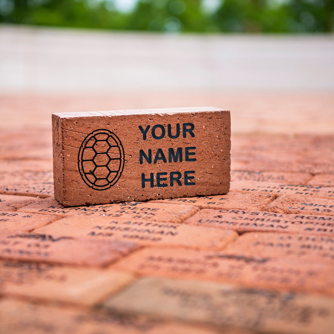 Personalized Brick – Maryland Alumni Store